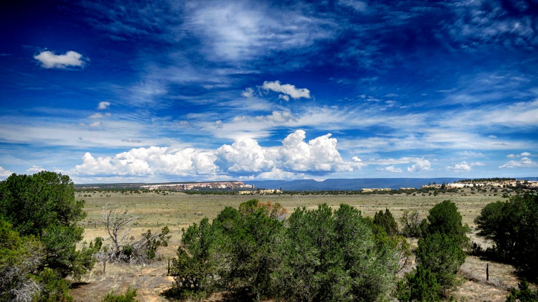 Manage Growth and Achieve your Definition of WISP Success - VISP