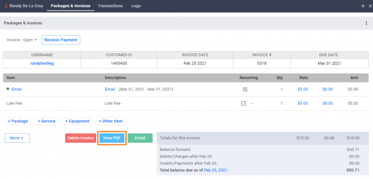Print Invoices in VISP.net | Help Documentation