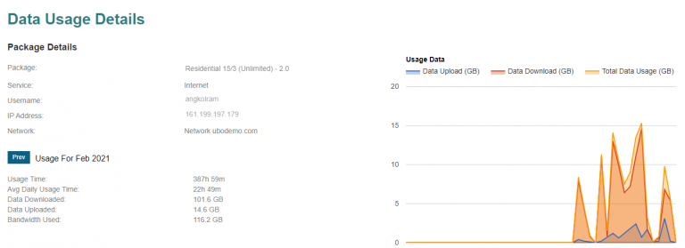 Check a Subscriber's Usage with VISP | VISP Help Documentation